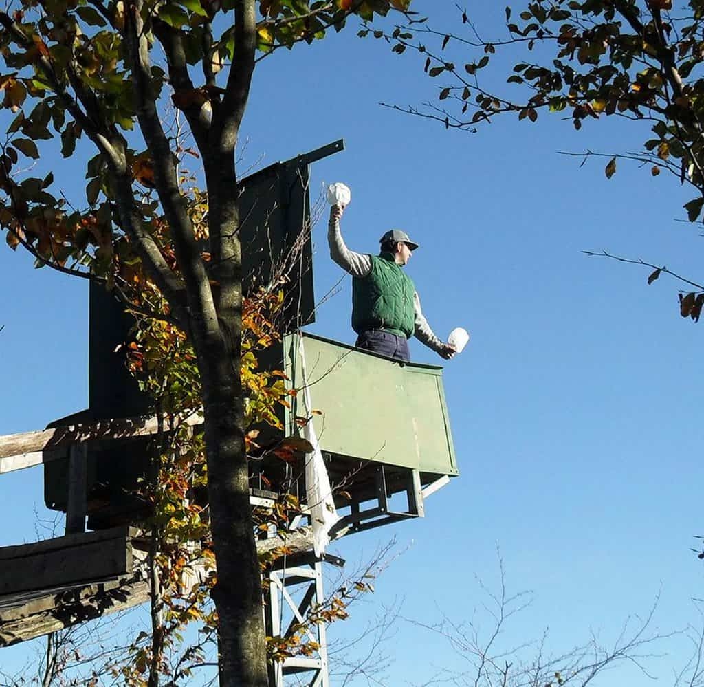 Palomeras de Etxalar, captura de paloma con red - Baztan Bidasoa Turismoa